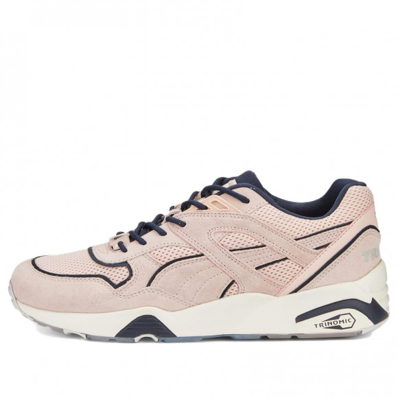 Puma R698 Minerals
