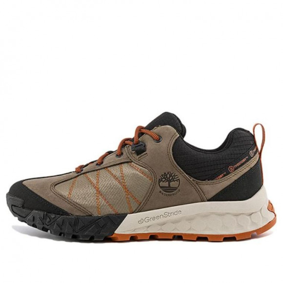 Timberland Trailquest