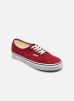 Vans Authentic